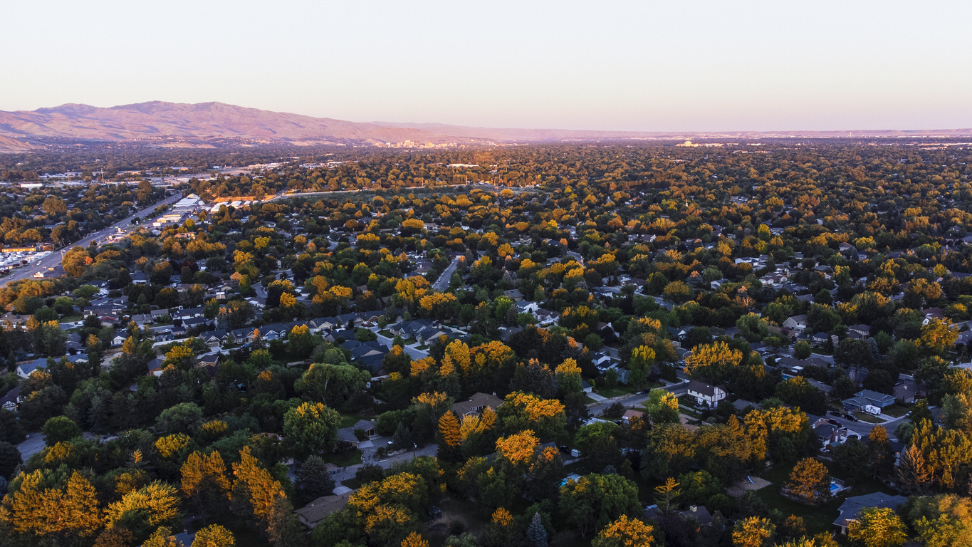 In celebration of National Tree Day, here’s looking at you, Boise ...
